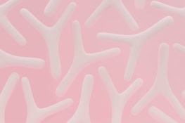 Rash After a Tick Bite: STARI, RMSF or Lyme? | IGeneX | Tick Talk